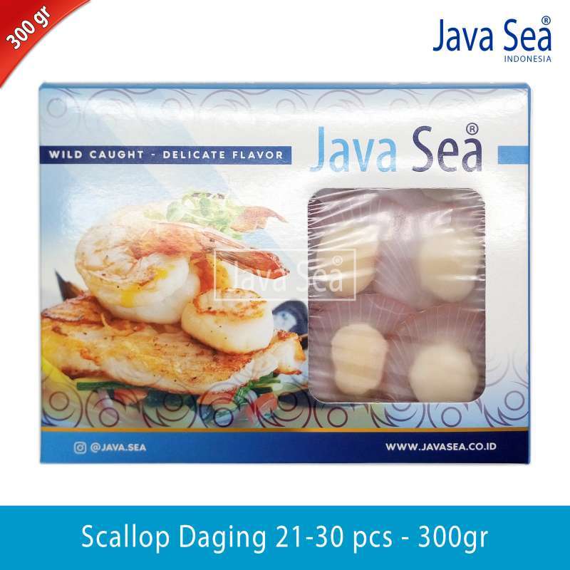 Jual Java Sea Scallop Cangkang Daging [21-30 Pcs Per Pack/300 gr] di ...