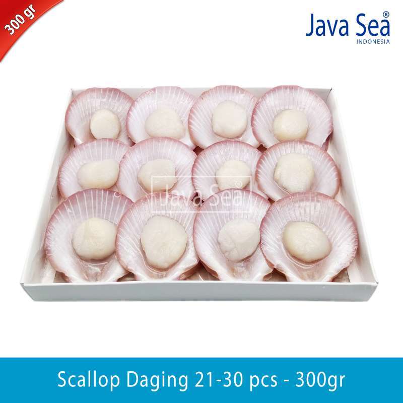 Promo Scallop Cangkang Daging 21-30 Pcs Pack 300gr Java Sea Halal ...