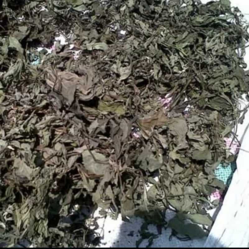 Jual Daun Insulin Kering / Paitan Kering / Herbal Kencing Manis (500gr ...