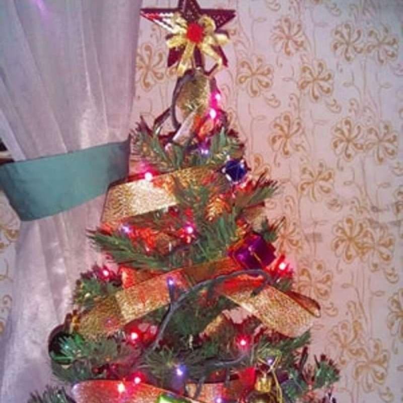 Promo Pohon Natal beserta dengan Hiasan (1 Set) - Tinggi 55 Cm - Hijau ...