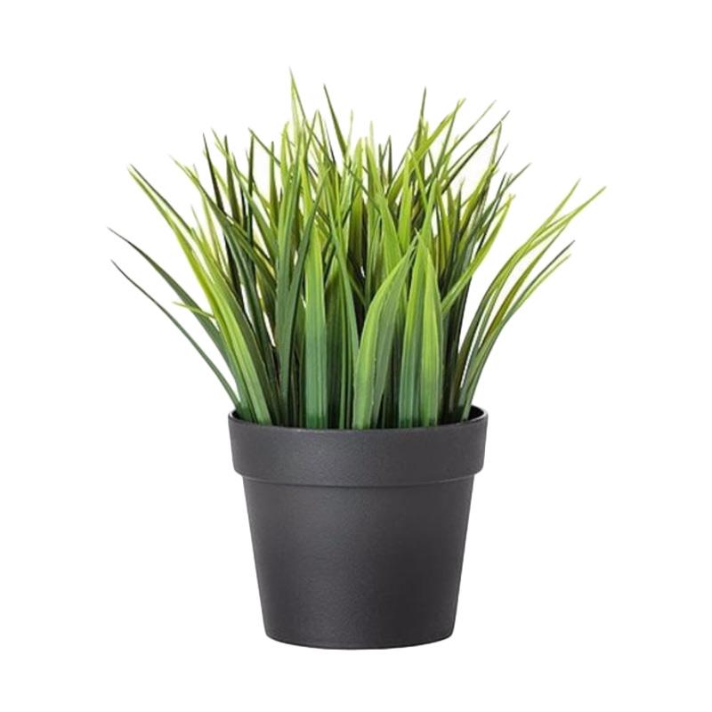 Jual Ikea FEJKA Bunga Rumput Tanaman Hias di Seller IKEAORIGINAL ...