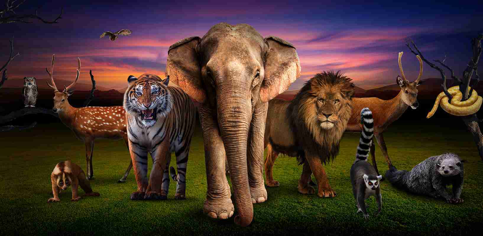 Tiket Bali Zoo Park 🔥 Terbaik - Harga Terbaru Juni 2026