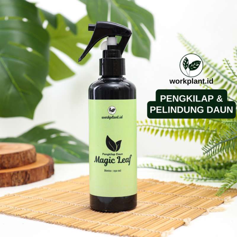 Promo Workplant Pengkilap Daun Magic Leaf Shine 250 Ml Tanaman Hias ...
