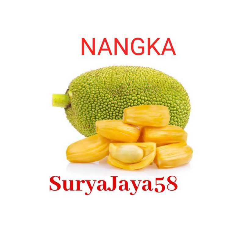 Jual buah nangka | nangka kuning | nangka rujak | 250g Halal di Seller ...