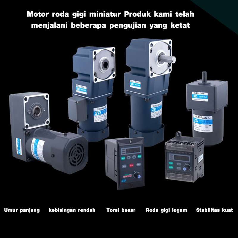 Jual Zd Zhongda German 6w/10w Ac Gigi Motor Peredam Mini Induksi Fase ...