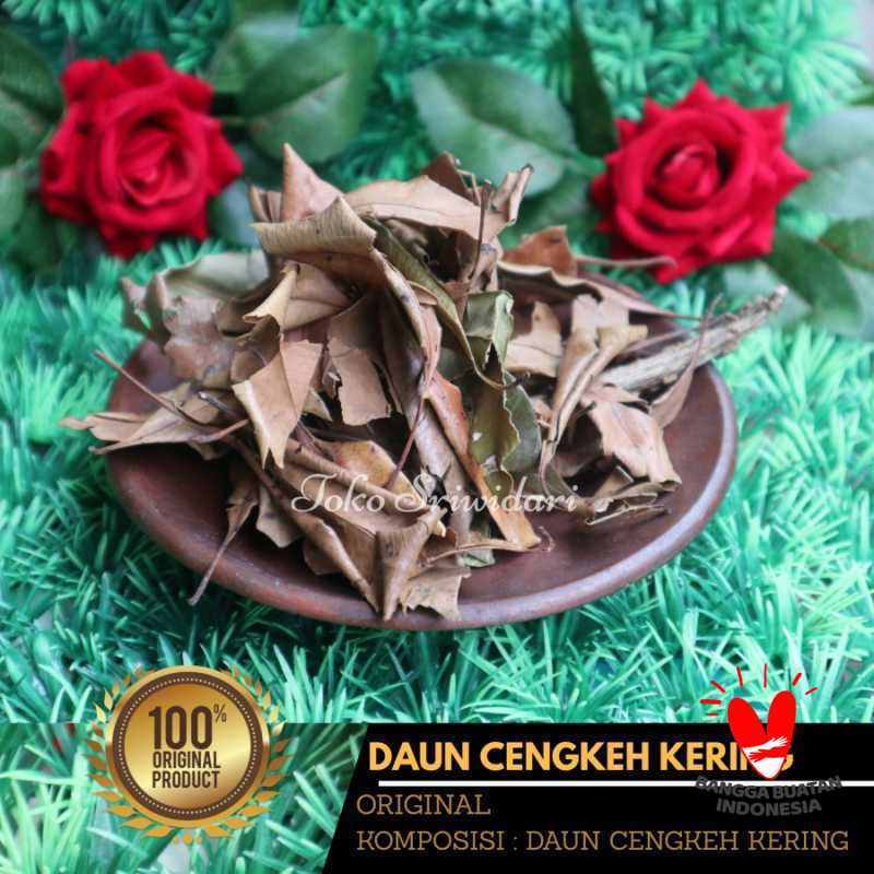 Jual Daun cengkeh/ cengkih kering- Syzygium aromaticum L. 500gram 100% ...