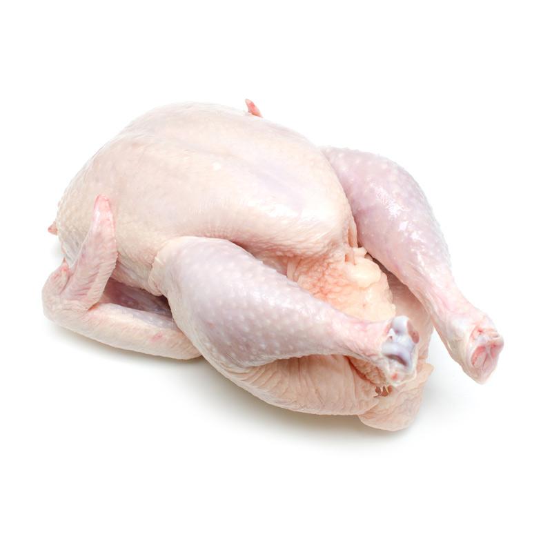 Jual Sajira Farm Karkas Ayam Frozen [700-800 g/Ekor] Halal di Seller ...