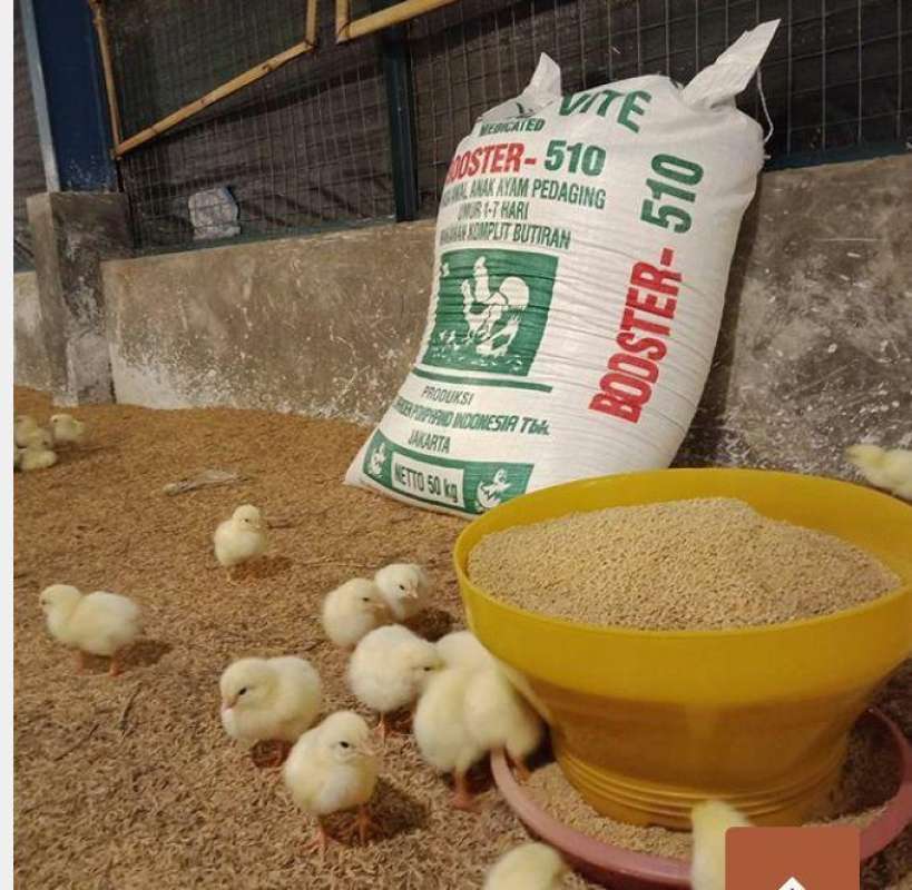 Jual hiprovit booster 510 pakan ayam pedaging berat 1kg di Seller ...