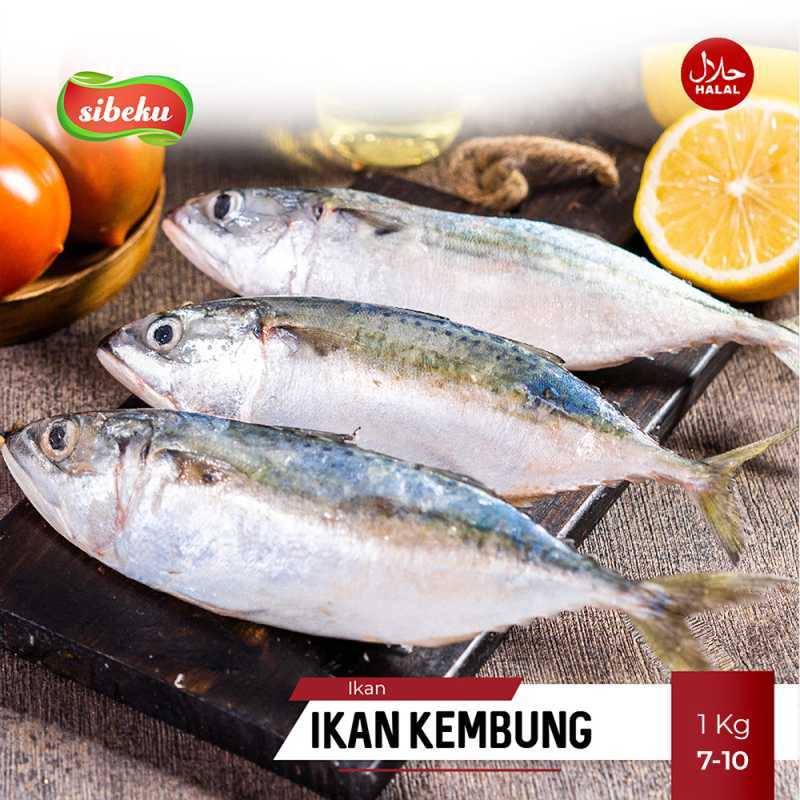 Jual Ikan Kembung Banjar Halal & Higienis 1 Kg Frozen Food di Seller ...