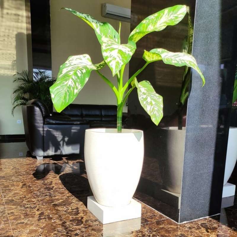 Jual Pot Teraso | Pot Terazzo Motif Gelas Plus Tatakan di Seller Nuansa ...