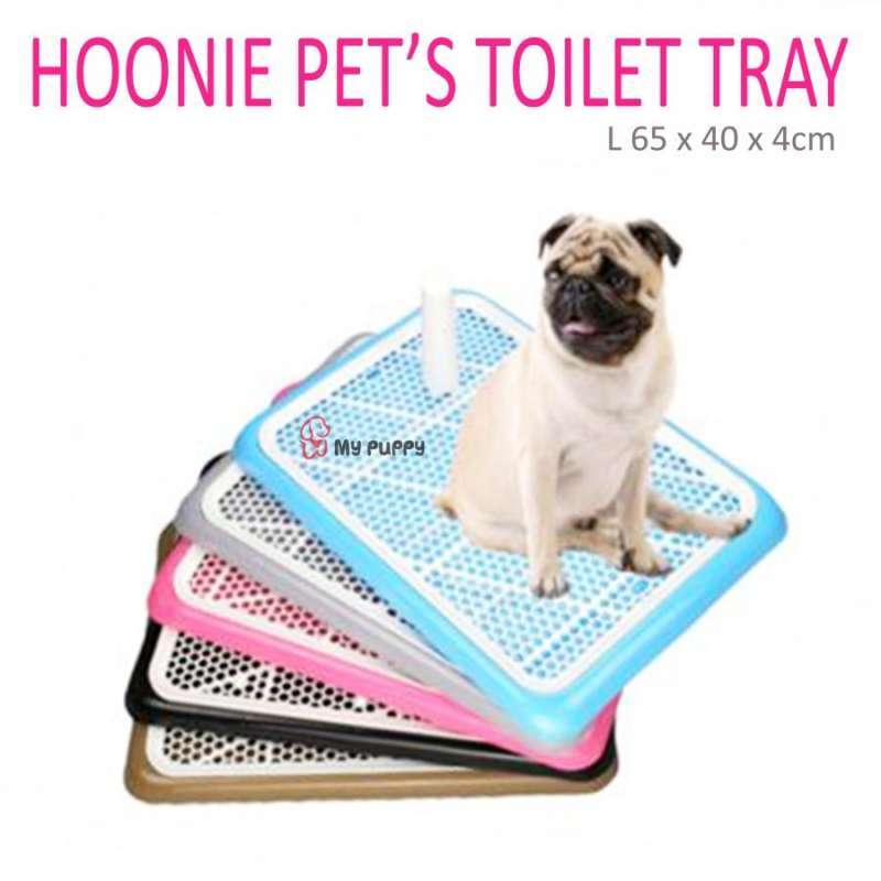 Jual Hoonie Pet's Toilet Tray Large - Toilet Pee Poop Anjing - Alas ...
