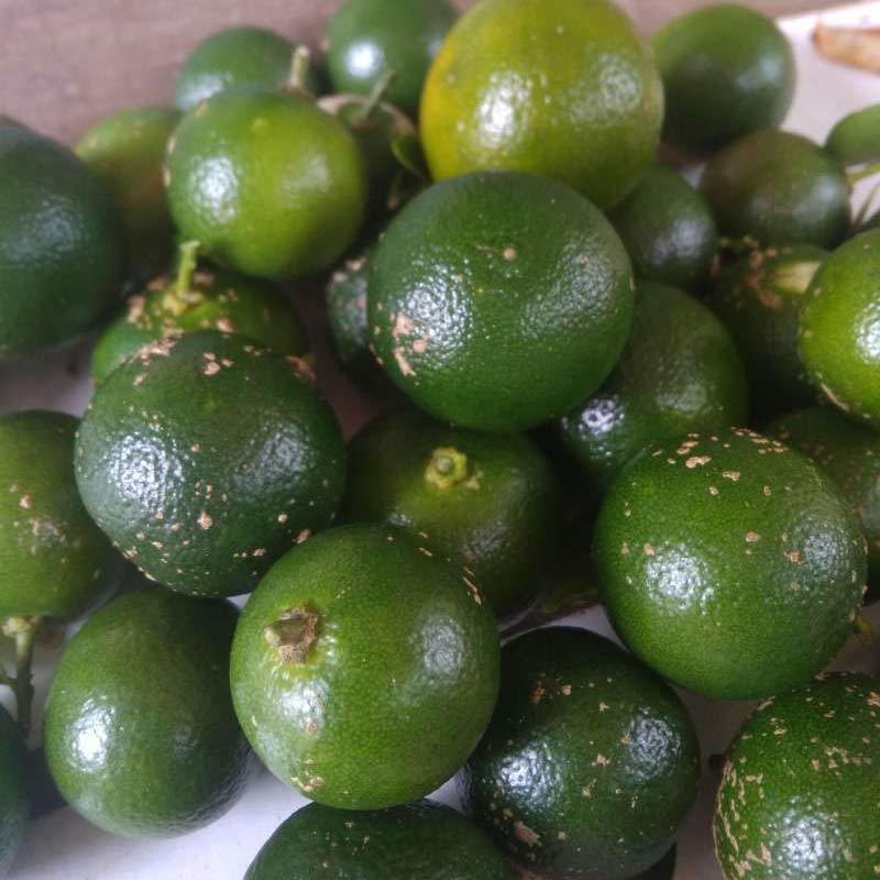 Jual Jeruk Lemon Cui Kasturi Buah-buahan [1 Kg] Di Seller Usman Abadi ...