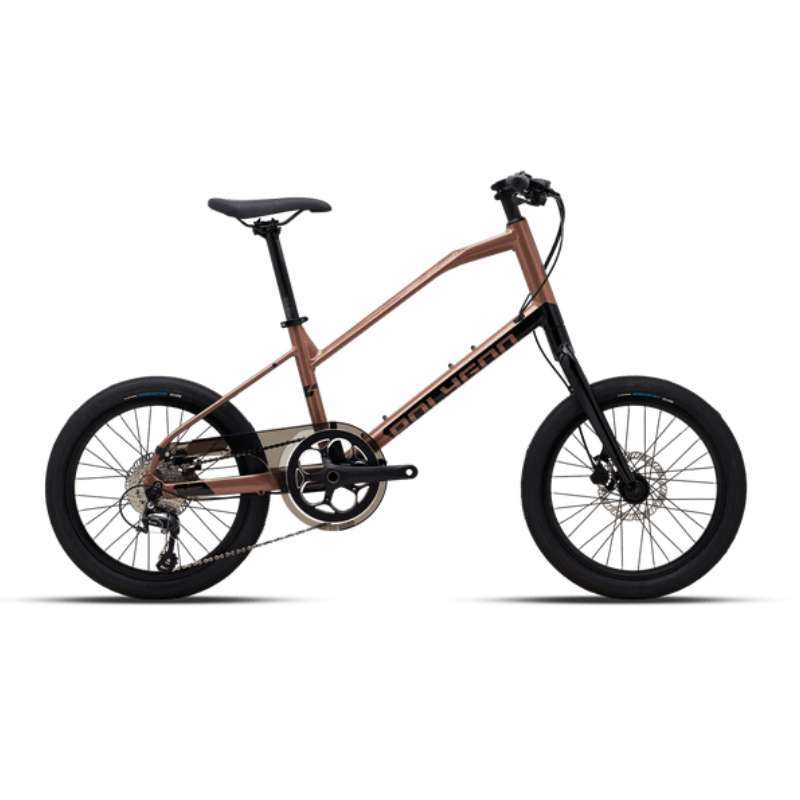 Jual Polygon Zeta 2 Sepeda Urban[20 Inch] - Hitam Cokelat di Seller ...