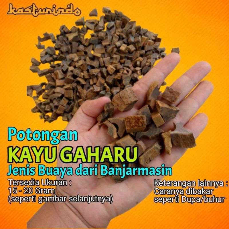 Jual Kayu Gaharu Buaya Agarwood Potongan Oud Buhur Bukhur Dupa Res ...