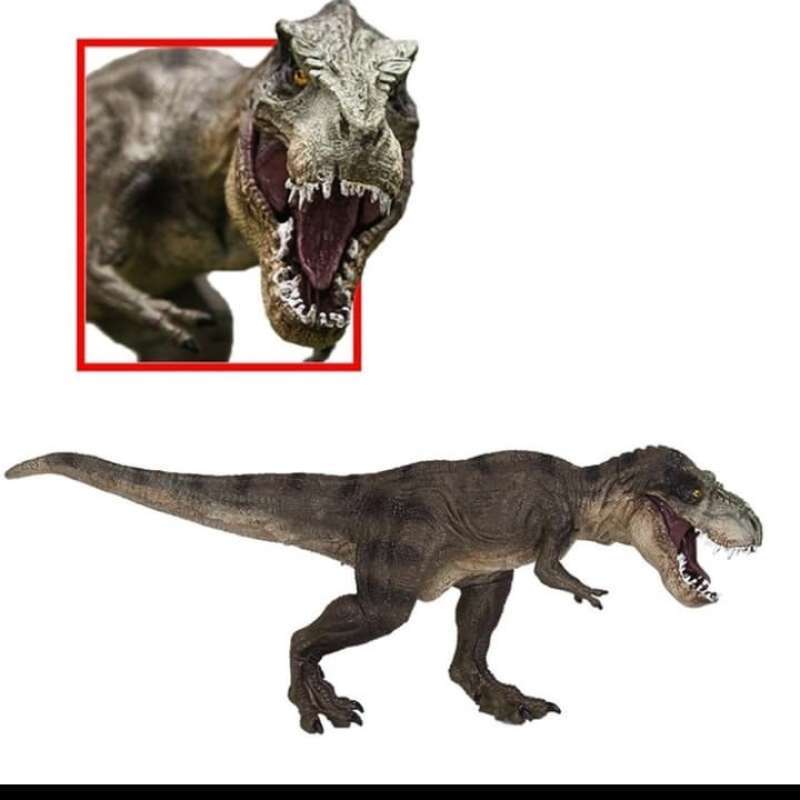 Jual Figure T-rex Dinosaur Jurassic Tyrannosaurus Rex World dinosaurus ...