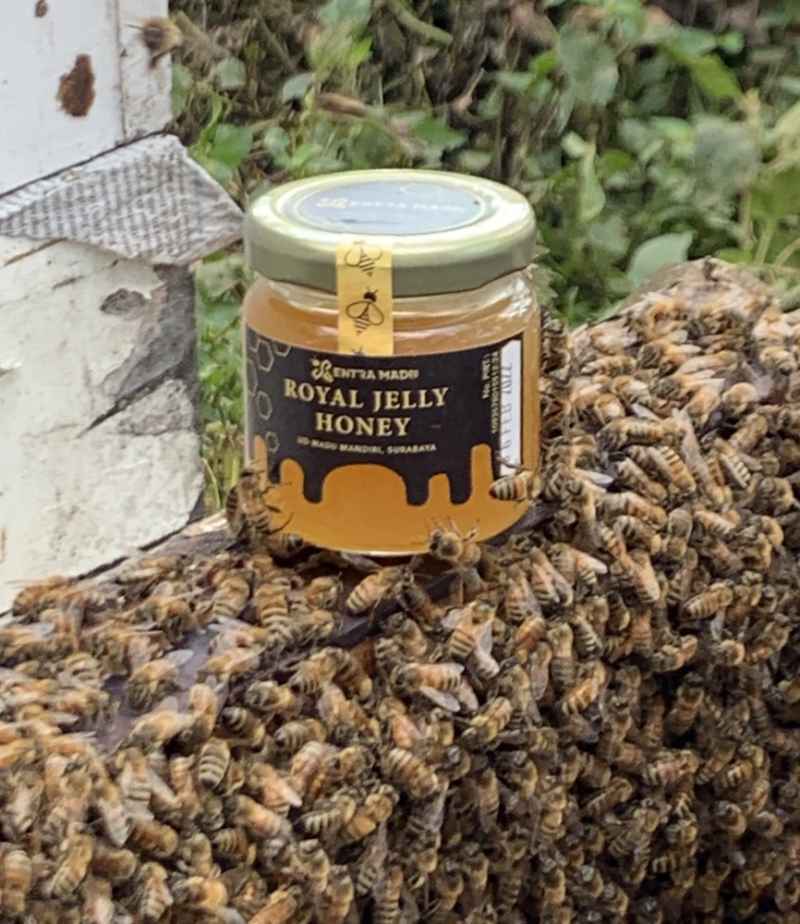 Jual Sentra Madu Royal Jelly Honey 100 ml di Seller Sentra Madu ...