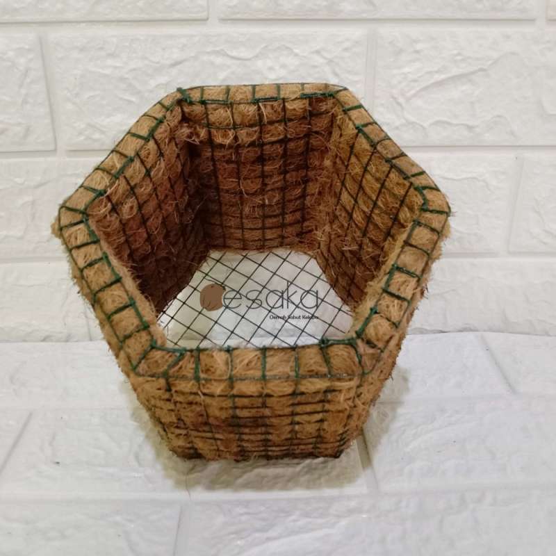 Jual pot segi enam anggrek pot sabut kelapa duduk/tempel dinding jaring ...