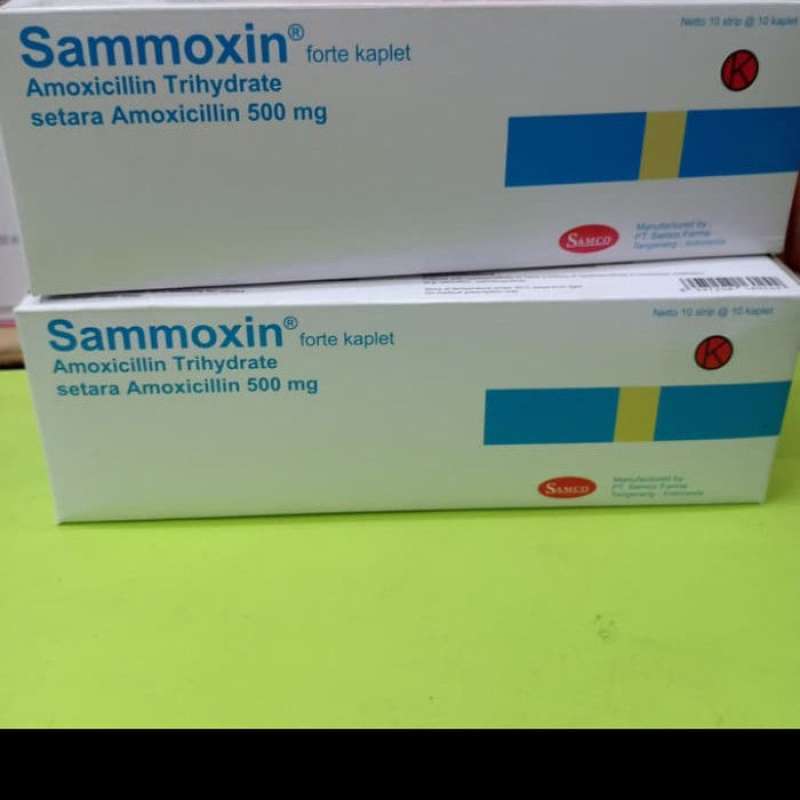 Jual Sammoxin Forte 500 Mg Per Box Di Seller Link Pharmacy - Link ...