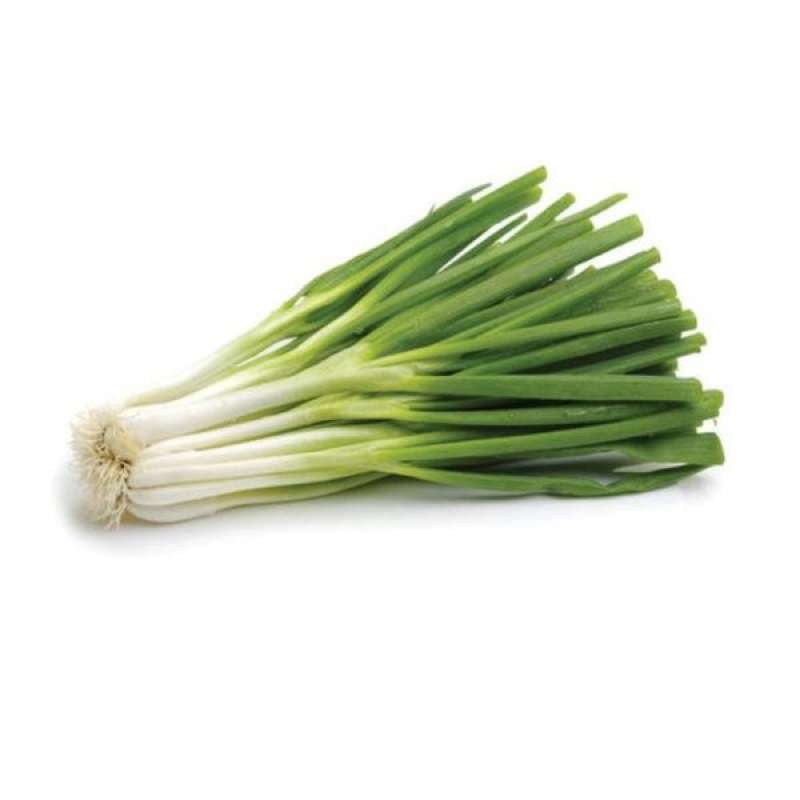 Jual Daun Bawang Harga Grosir Hari Ini Mei 2026 | Blibli