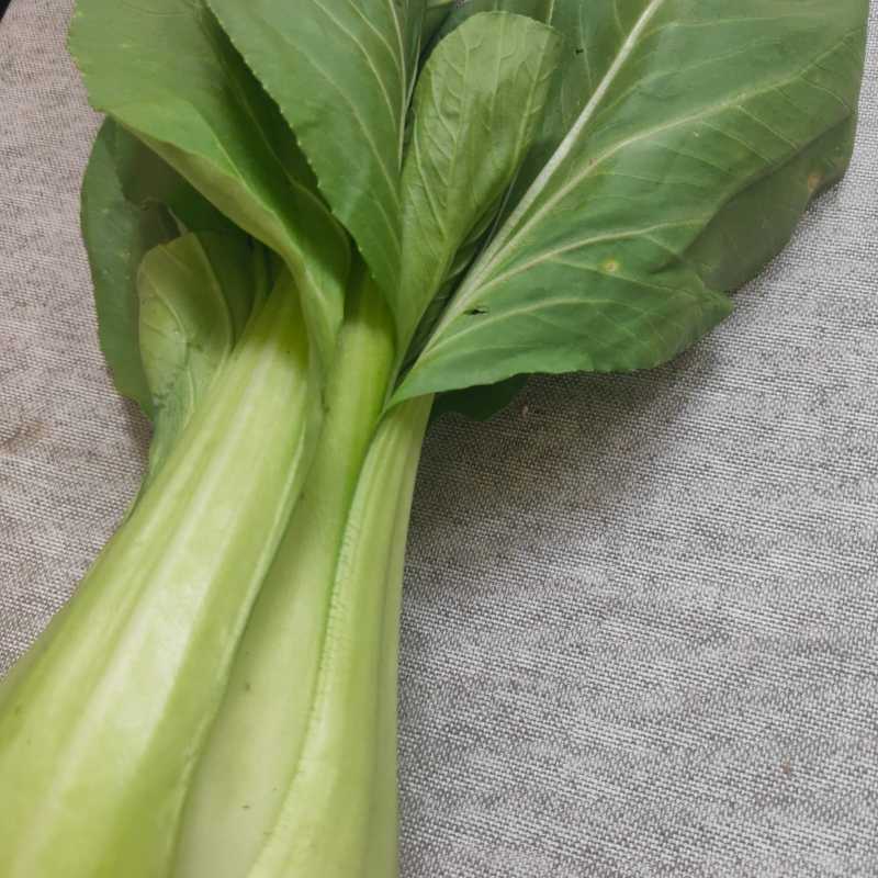 Jual Pakcoy Sayur Segar Bandung 1kg Di Seller Ranca Deli - Cipamokolan ...