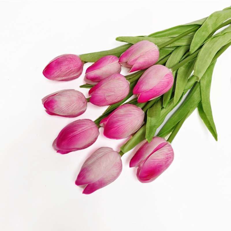 Setangkai Bunga Tulip Merah