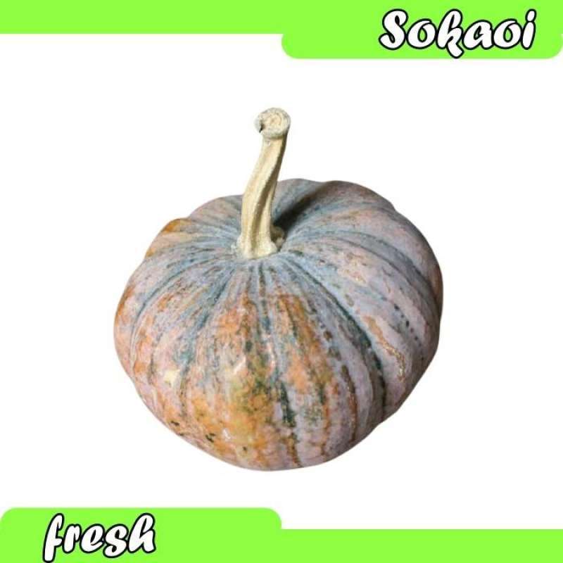 Sayur Labu Kuning 1 Kg Gratis Ongkir 🏷️ Harga Murah Oktober 2025