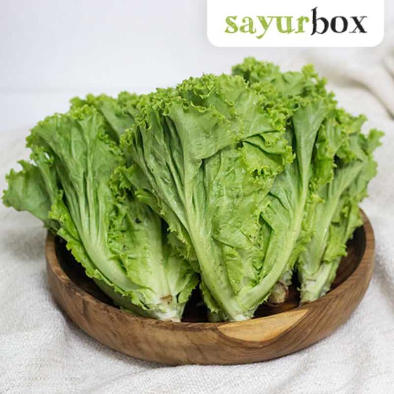 Jual Selada Keriting Konvensional 1 kg Sayurbox - JKT Halal di Seller ...