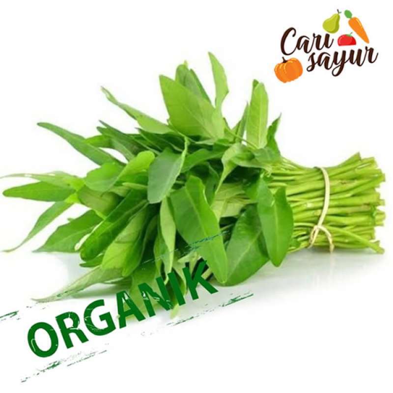 Jual CARI SAYUR - Kangkung Organik [1 ikat] di Seller Cari Sayur ...