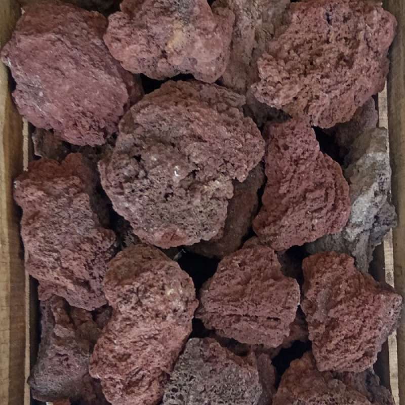 Batu Lava Rock Untuk Filter - Paludarium 2021