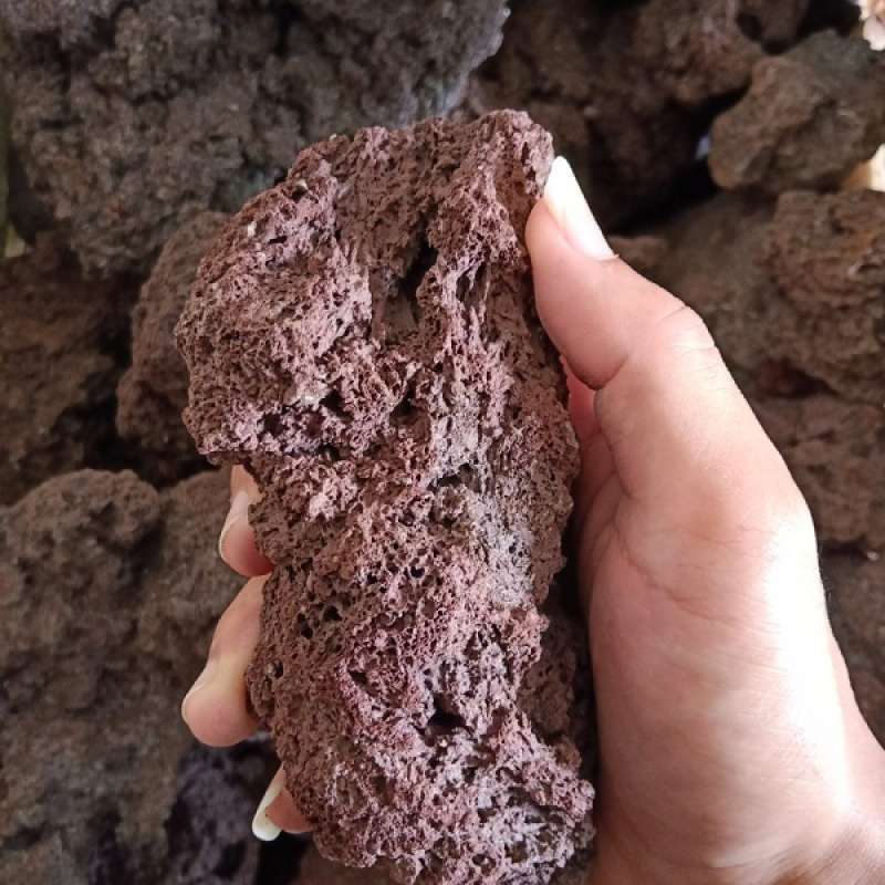 Promo Batu Lavarock 500 Gr Batu Lava Rock Batu Lava Aquarium Aquascape ...