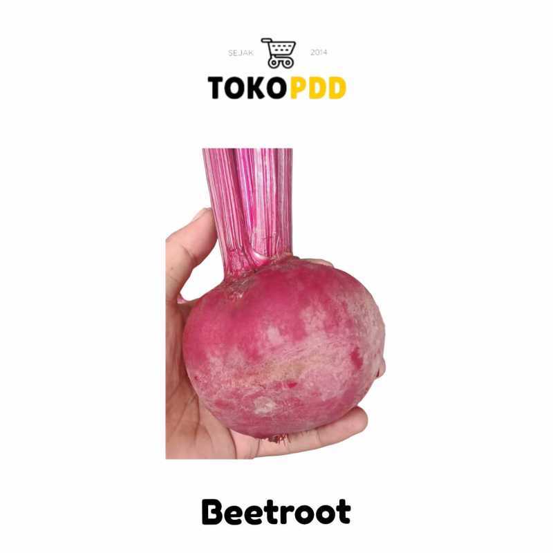 Jual Beetroot Buah Bit 1 Kg di Seller PDD - Sindangjaya, Kab. Cianjur ...