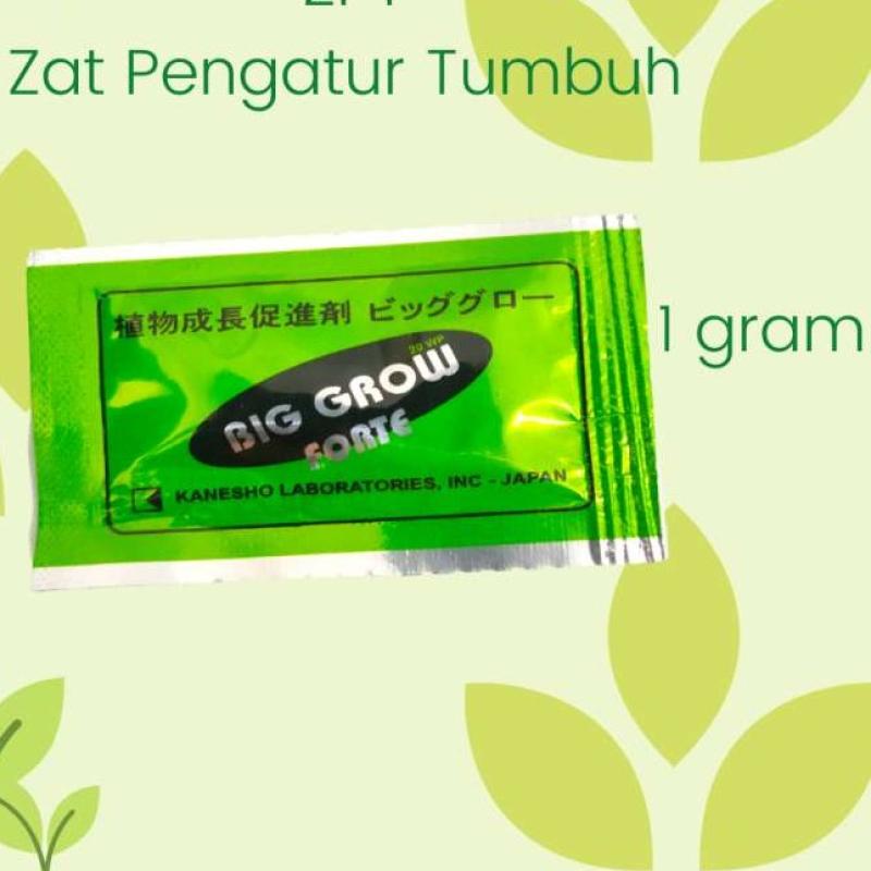 Jual Big Grow Forte 1 Gram ZPT Zat Pengatur Tumbuh Tanaman di Seller ...