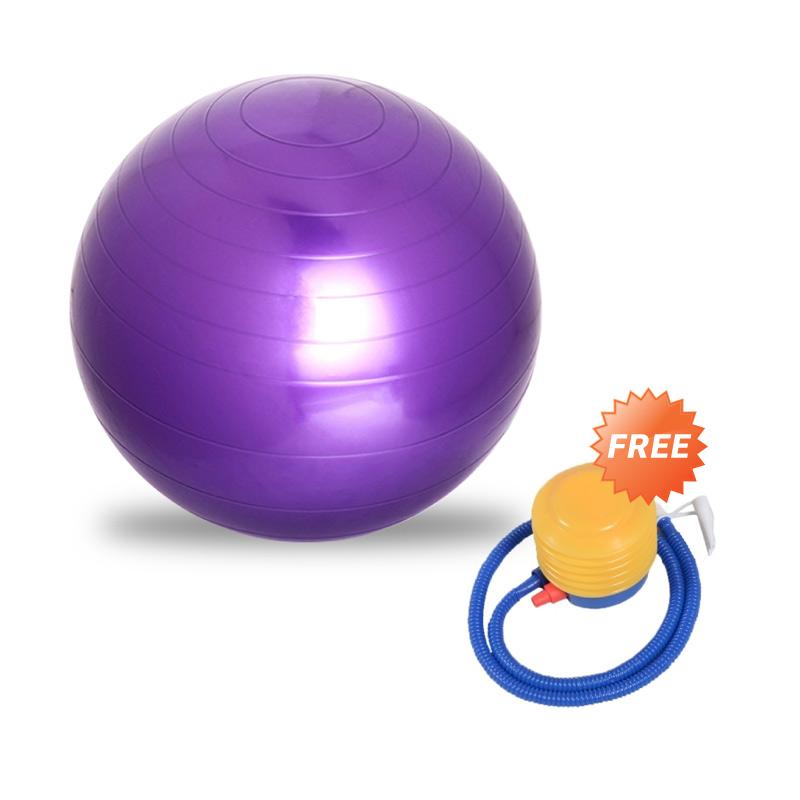 Jual Bg Sport Bola Yoga Gym Ball Bonus Pompa Angin Gymball Ibu Hamil