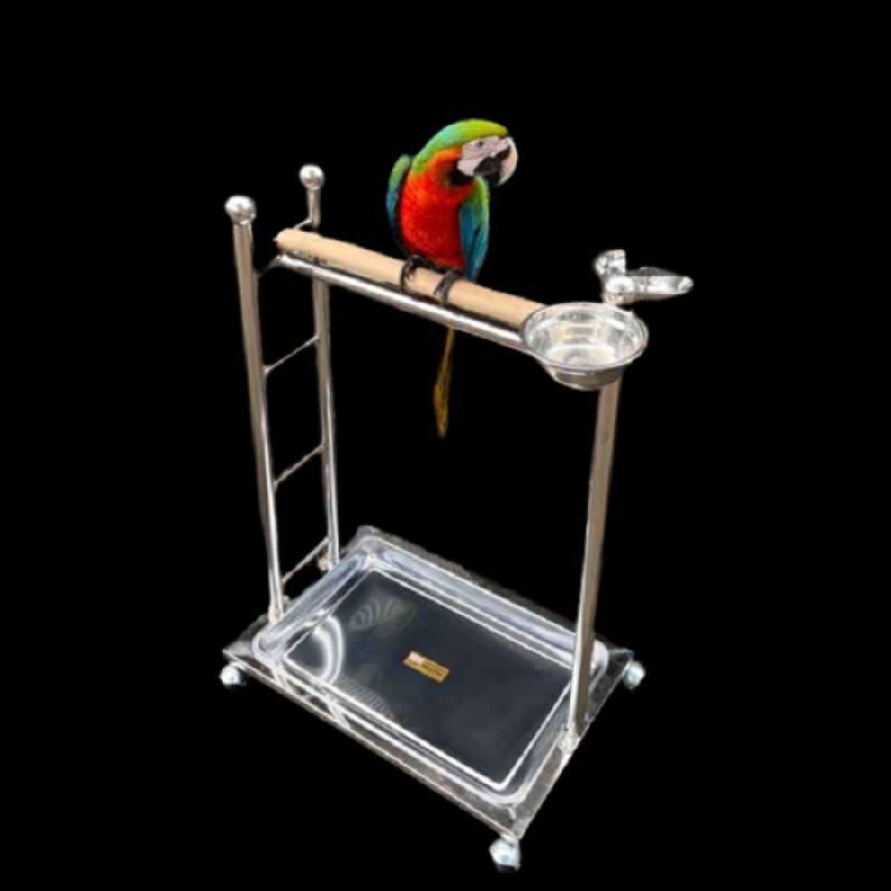 Promo Tangkringan Pangkringan Kandang Burung Parrot Kakatua Nuri Macaw ... Promo Tangkringan Pangkringan Kandang Burung Parrot Kakatua Nuri Macaw ...