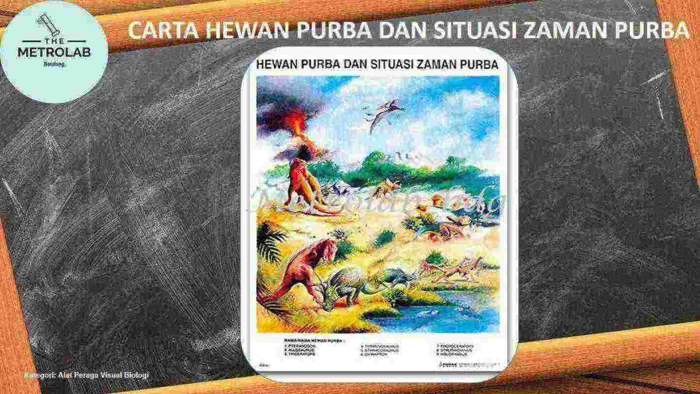 Jual Carta Hewan Purba & Situasi Zaman Purba Uk. 70 X 100 Cm, Art Paper ...