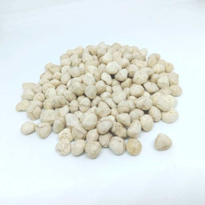 Jual [500gram] biji kelor kupas atau kernel biji kelor di Seller ...