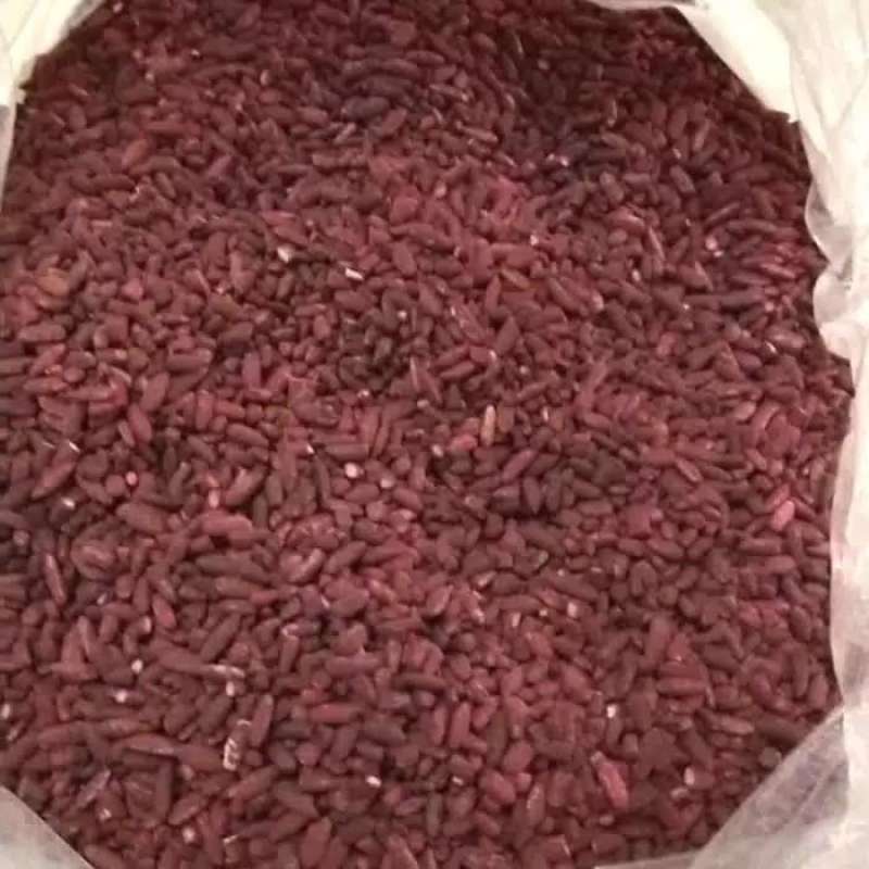 Beras Merah Cina Lengkap Harga Terbaru Juli 2024 | Blibli