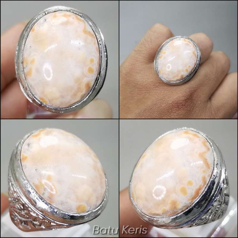 Jual Fosil Batu Mani Gajah Putih Bercak Kuning Orange Asli Natural ...