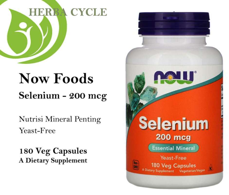 Multivitamin Mineral Now Lengkap Harga Terbaru Mei 2024 | Blibli