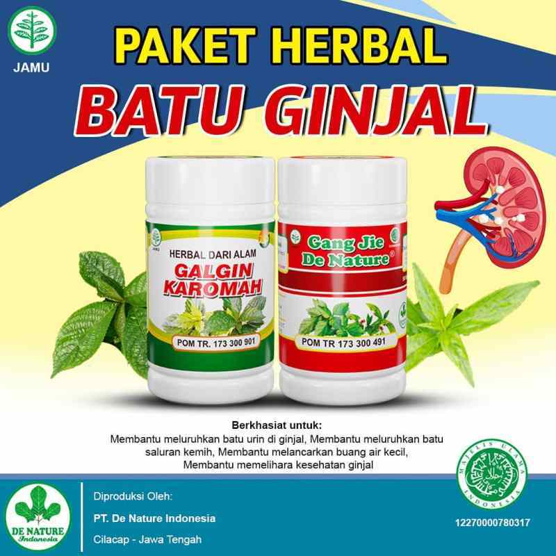 Jual OBAT BATU GINJAL/KENCING BATU/GAGAL GINJAL/GINJAL BENGKAK/GINJAL BOCOR/PENGHANCUR BATU URIN ...