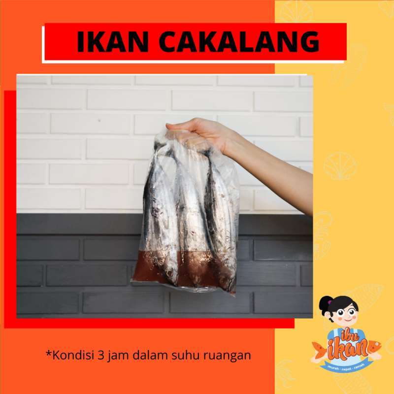 Jual Ikan Cakalang Fresh Segar 350 Gram Frozen Untuk Suwir Asap Fufu ...