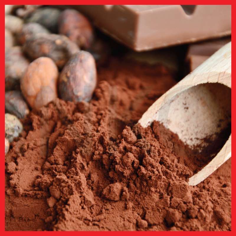 Jual COKLAT BUBUK WINDMOLEN COCOA POWDER 1KG di Seller inko - Curug ...