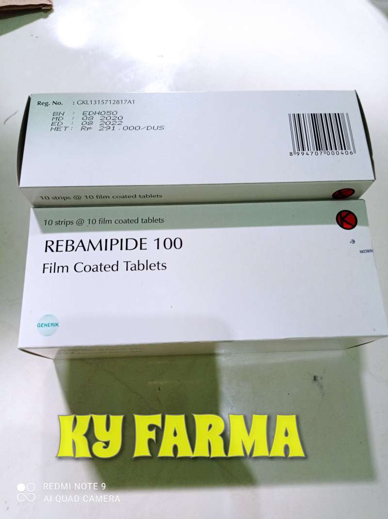 Jual rebamipide 100mg perbox isi 100 tablet di Seller Alfonsgenerik ...