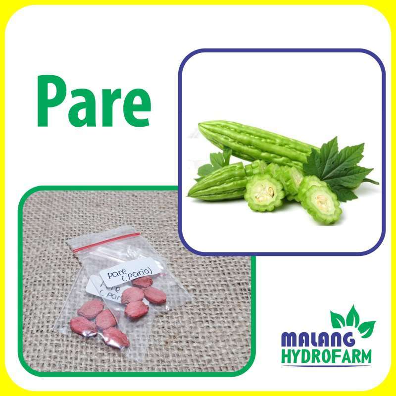 Jual Benih Pare Hijau / Paria Unggulan berkualitas biji bibit ...
