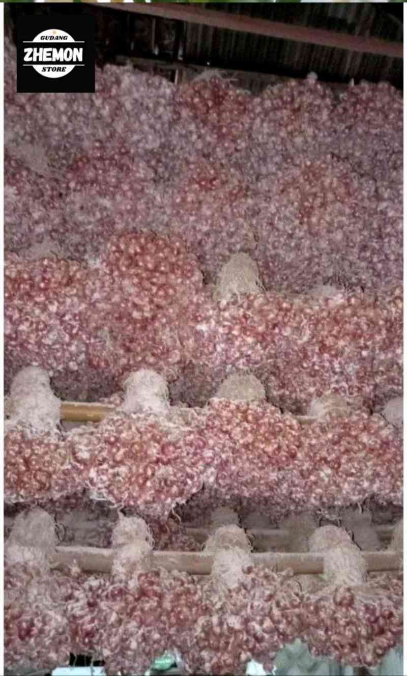Jual Bibit Bawang Merah Super Varietas Thailand Nganjuk Tajuk 1 Kg Di ...