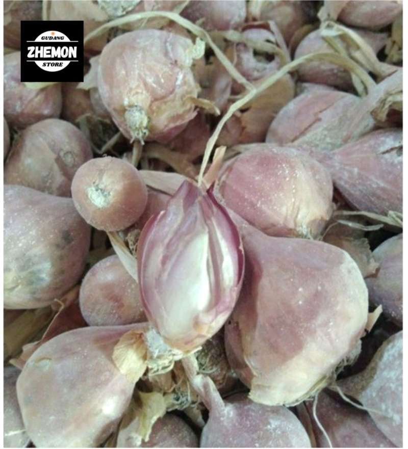 Jual Bibit Bawang Merah Super Varietas Thailand Nganjuk Tajuk 1 Kg Di ...