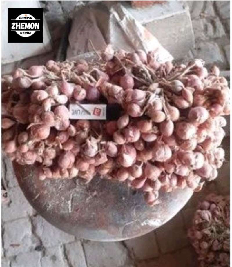 Jual Bibit Bawang Merah Super Varietas Thailand Nganjuk Tajuk 1 Kg Di ...