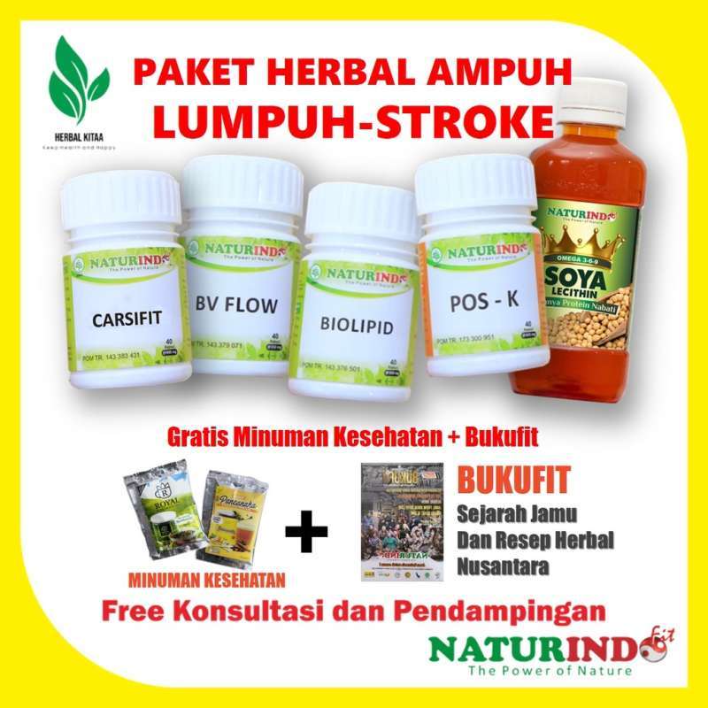 Jual Obat Stroke Berat Ringan Ampuh Obat Strok Menahun Lumpuh Separo ...