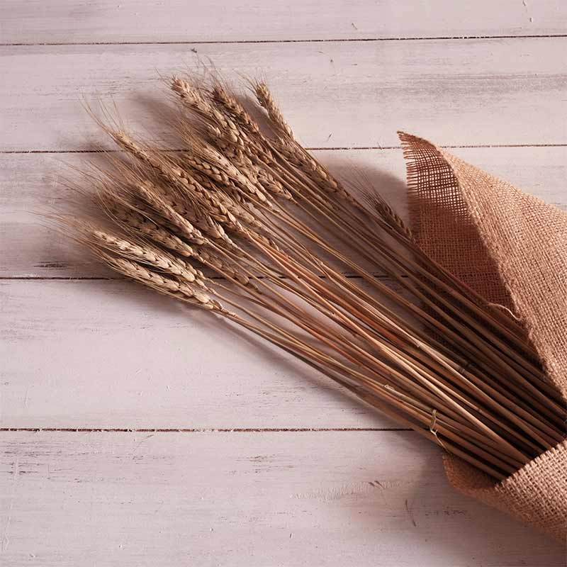 93+ Background Bunga Rustic free Download - MyWeb