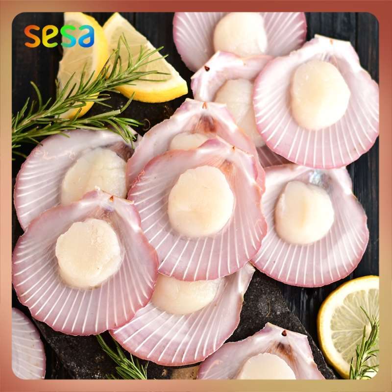 Jual Java Sea - Scallop Cangkang Daging Beku 300 g di Seller Sesa ...